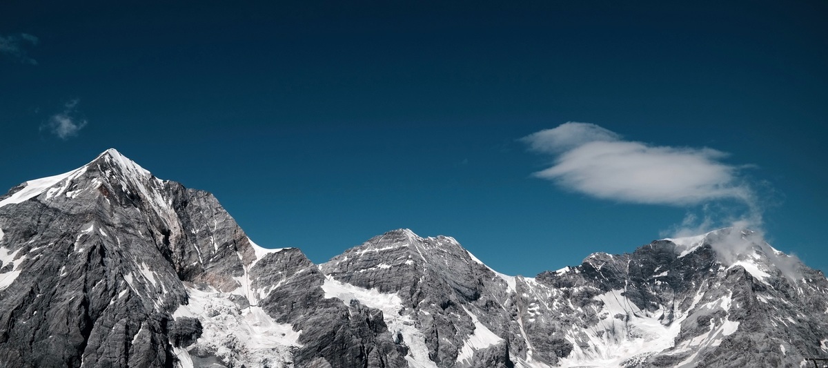 DNA Genetic Analysis | Biomune Integrated Wellness